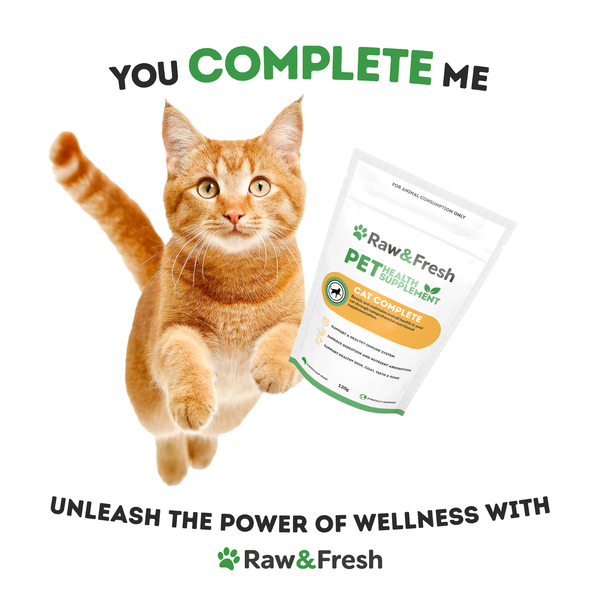 Cat Complete Vitamin Supplement