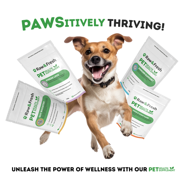 Immune Boosting Supplement for Dogs