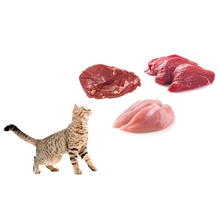 100% Natural Raw & Fresh Cat Food | Order Online for Home Delivery