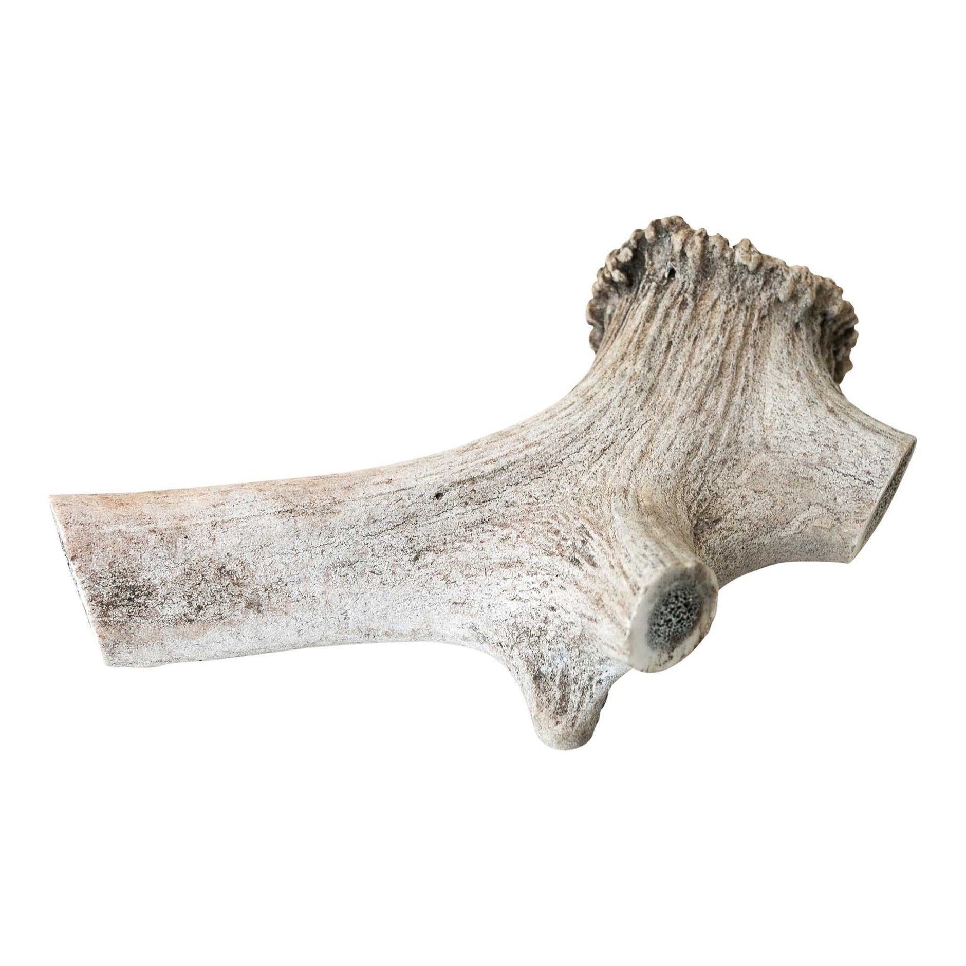 Red Deer Antlers for Dogs