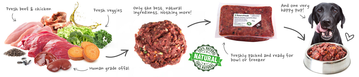 Raw Beef Dog Food - Complete & Balanced AAFCO Recipe