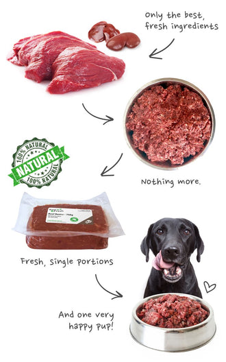 BARF Beef Dog Food - No Veg Basics Recipe
