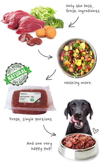 BARF Beef Dog Food - Essentials Recipe
