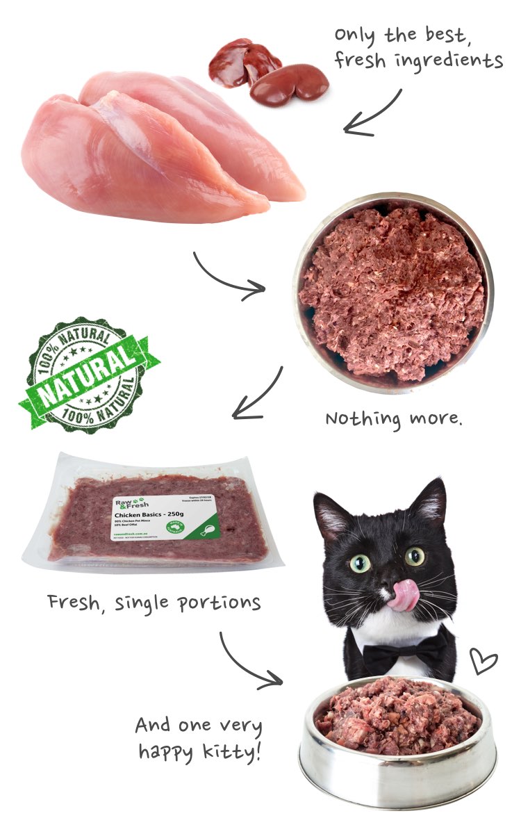 BARF Chicken Cat Food - No Veg Basics Recipe