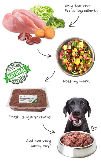 BARF Chicken Dog Food - Essentials Recipe