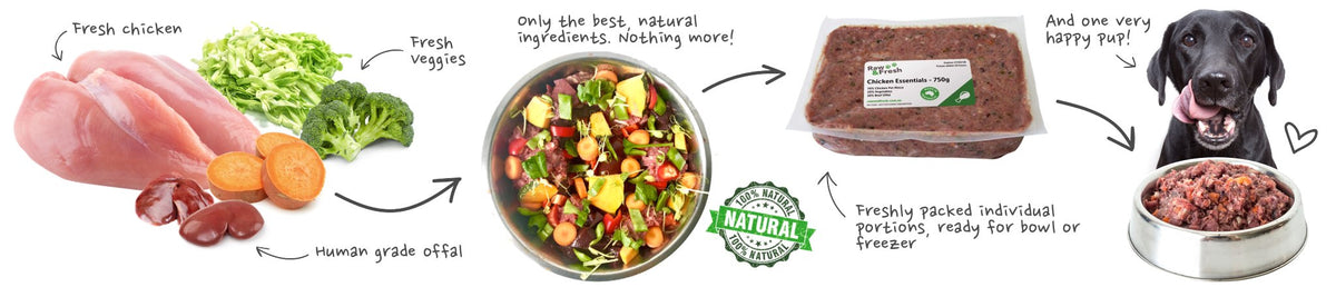 BARF Chicken Dog Food - Essentials Recipe